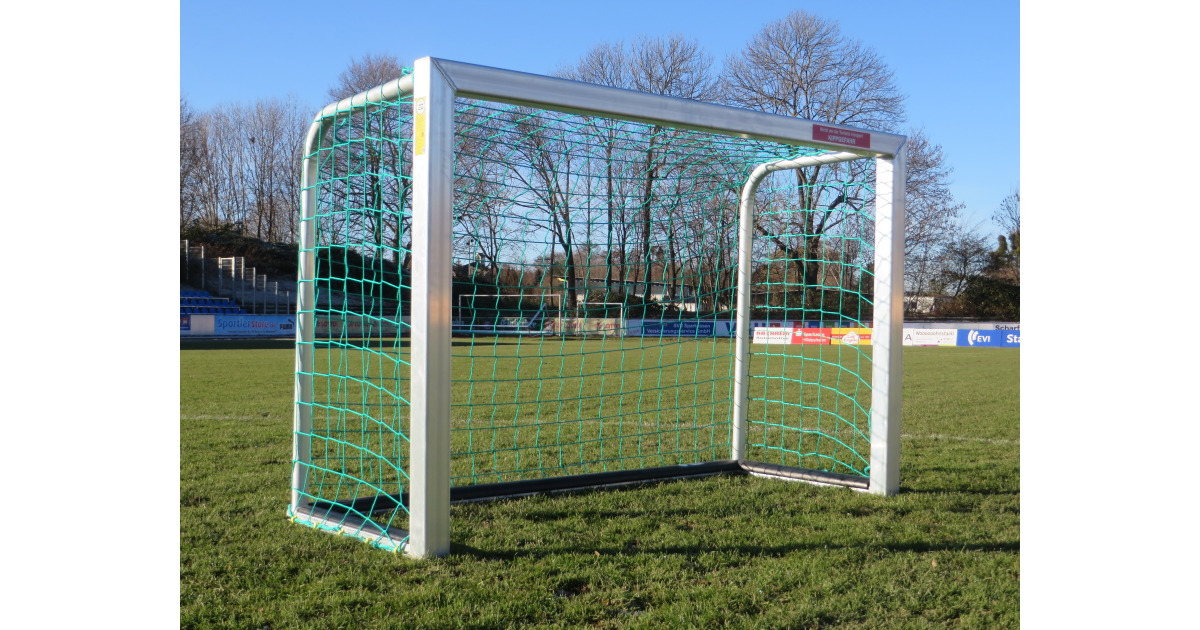 Sport-Thieme Mini-Fußballtor mit PlayersProtect kaufen - Sport-Thieme.at